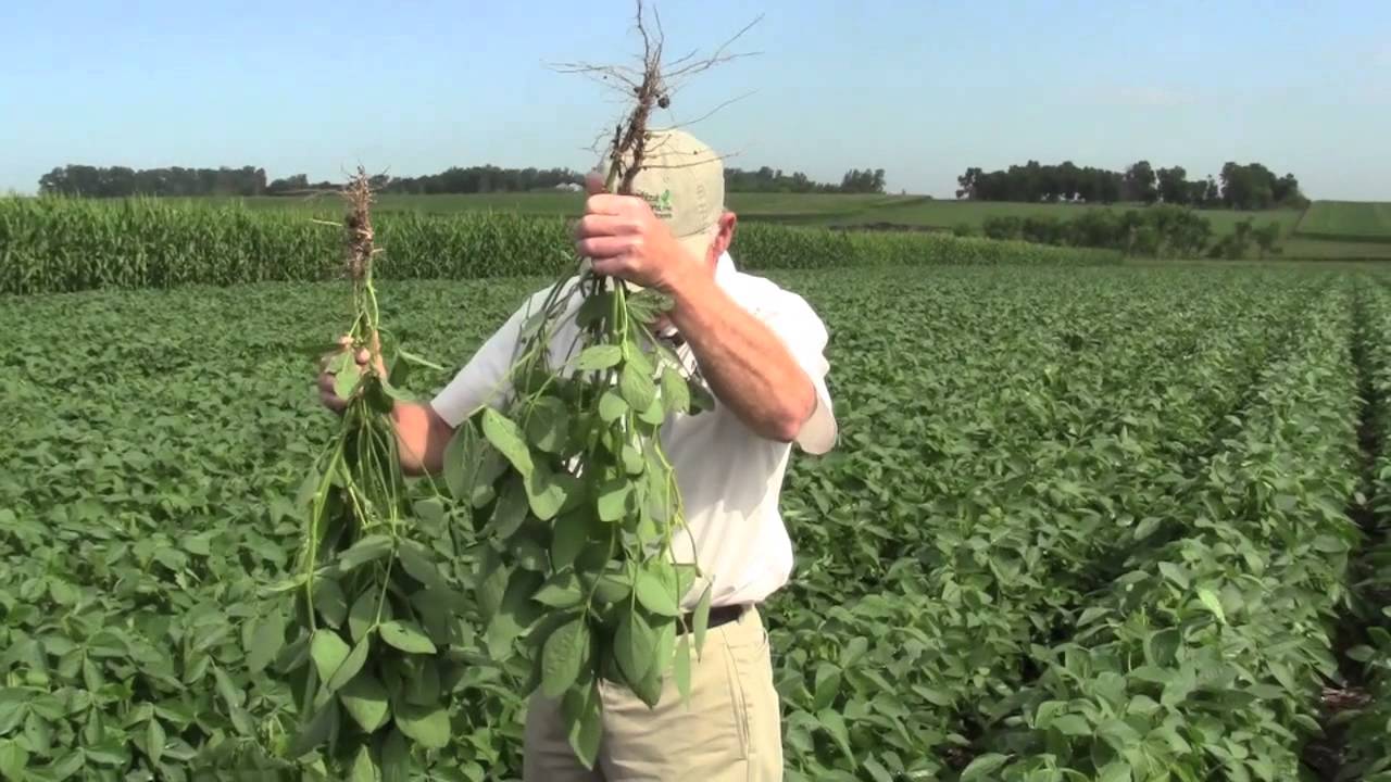 Millborn Seeds Vitality Tour: Episode 2 - YouTube