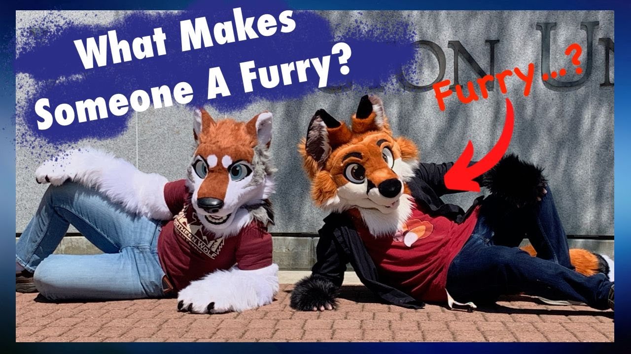 What Makes Someone A Furry? - YouTube