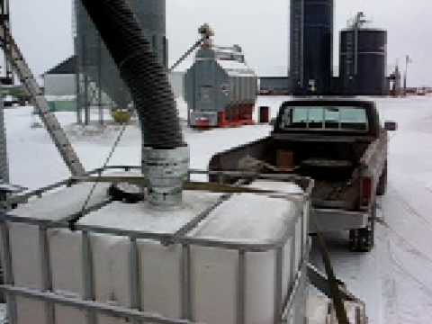 Filling corn for boiler at the Farm... - YouTube