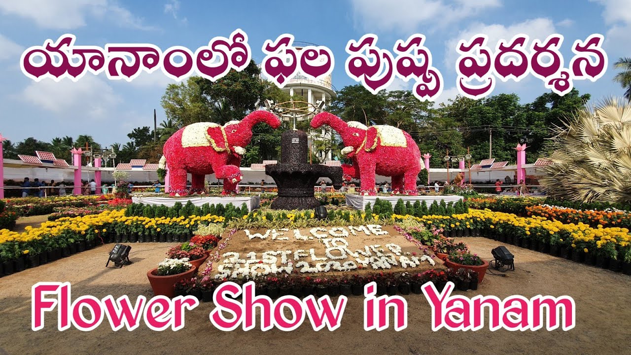 ఫ్లవర్ షో|యానాం| Flower Show| Yanam|Yanam Tourist places|Yanam Tour ...