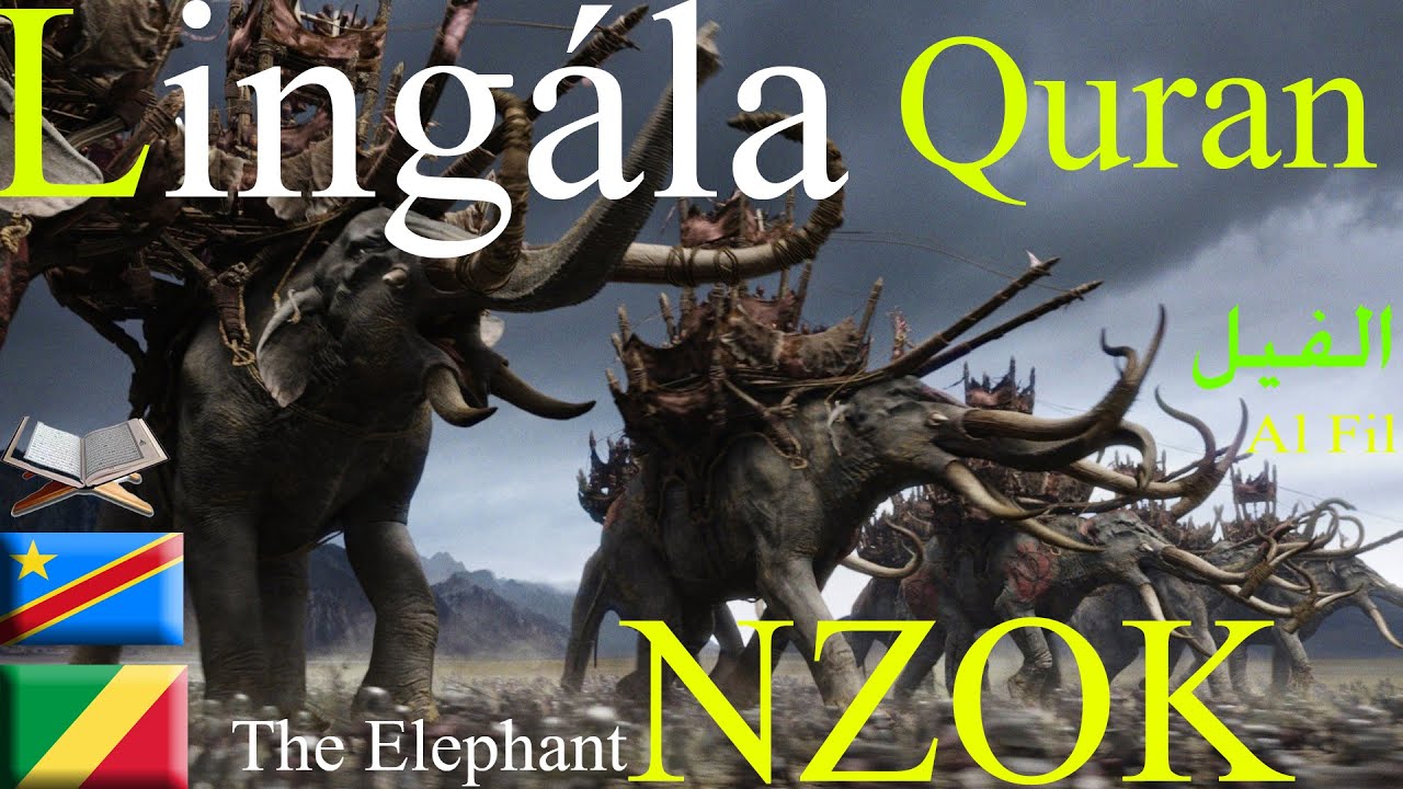 Lingala Quran,Al Fil,الفيل‎,Quran translation in Lingala, Explanation ...