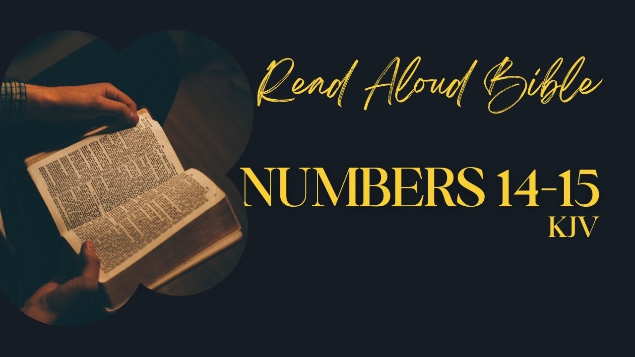 February 17 - Numbers 14-15 KJV | Daily Audio Bible Reading | 365-Day ...