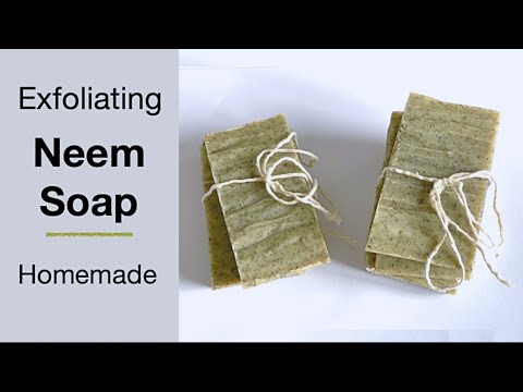 How To Make NEEM SOAP At Home (Easy Formula For Beginners) - YouTube