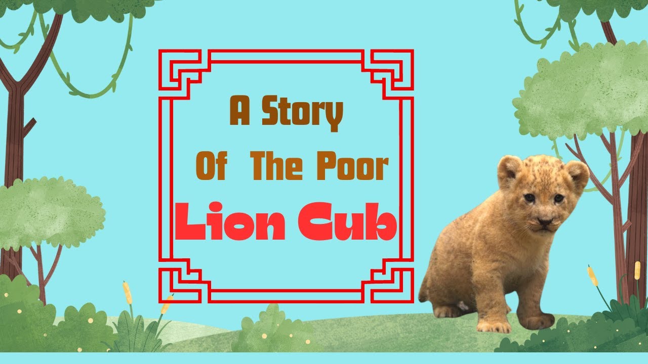 A Story Of The Poor Lion Cub - YouTube