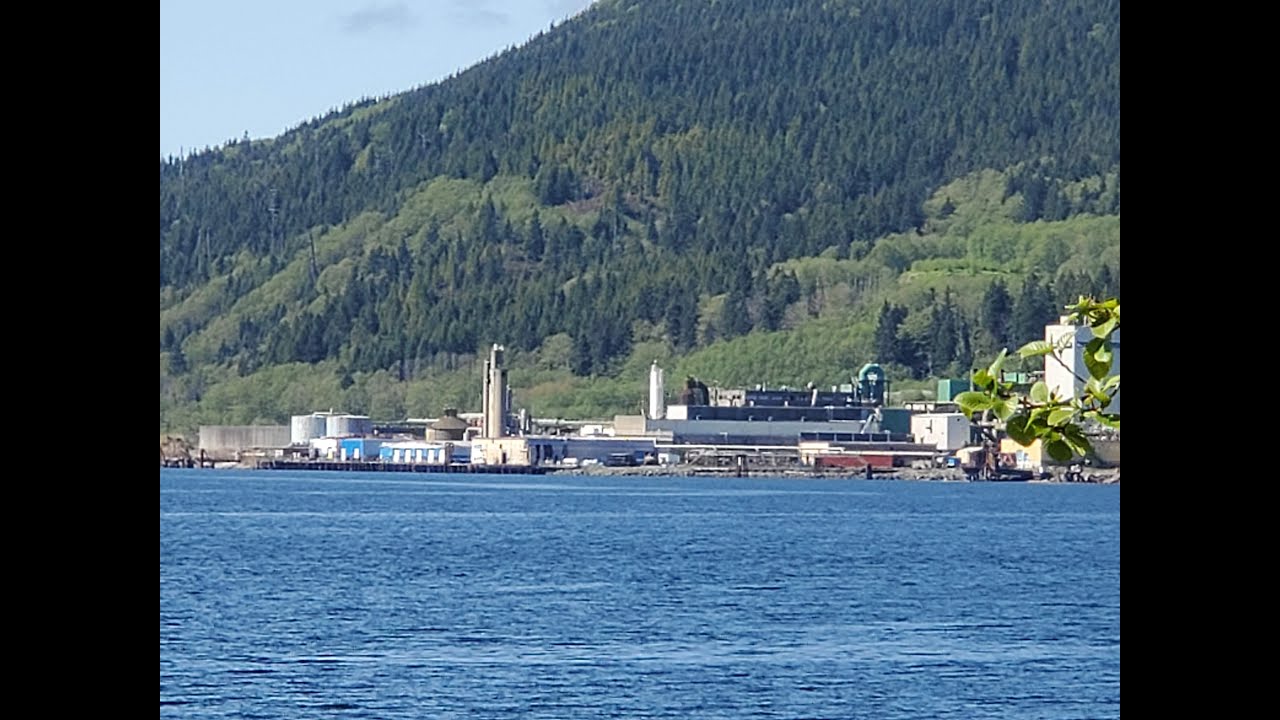 Ghosts 'N Bears - EP3 - Port Alice Mill - YouTube