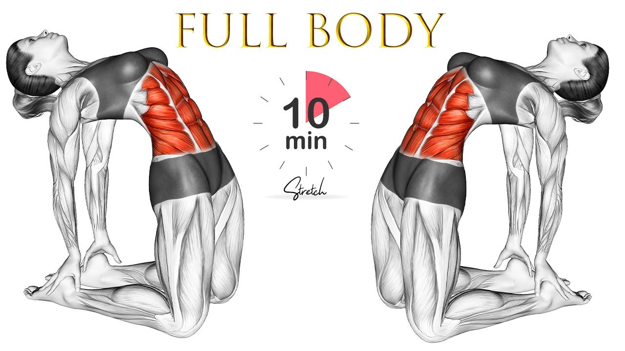 Best Full Body Stretching Routine for Flexibility and Health| Morning ...