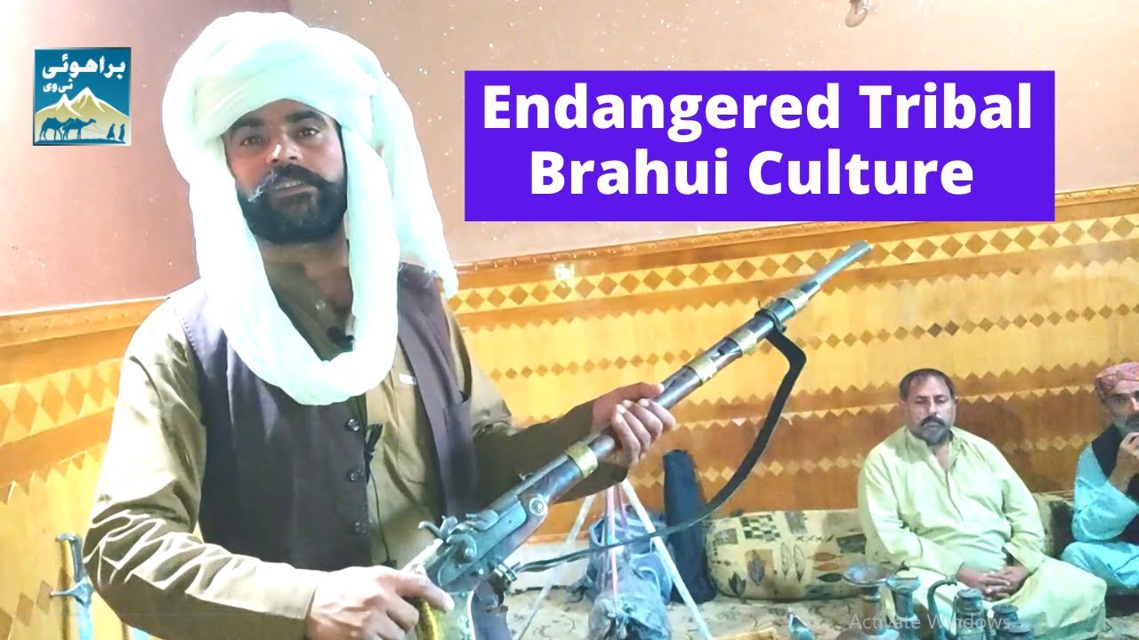 A Youngster's Struggle to Preserve and Promote Endangered Brahui Tribal ...
