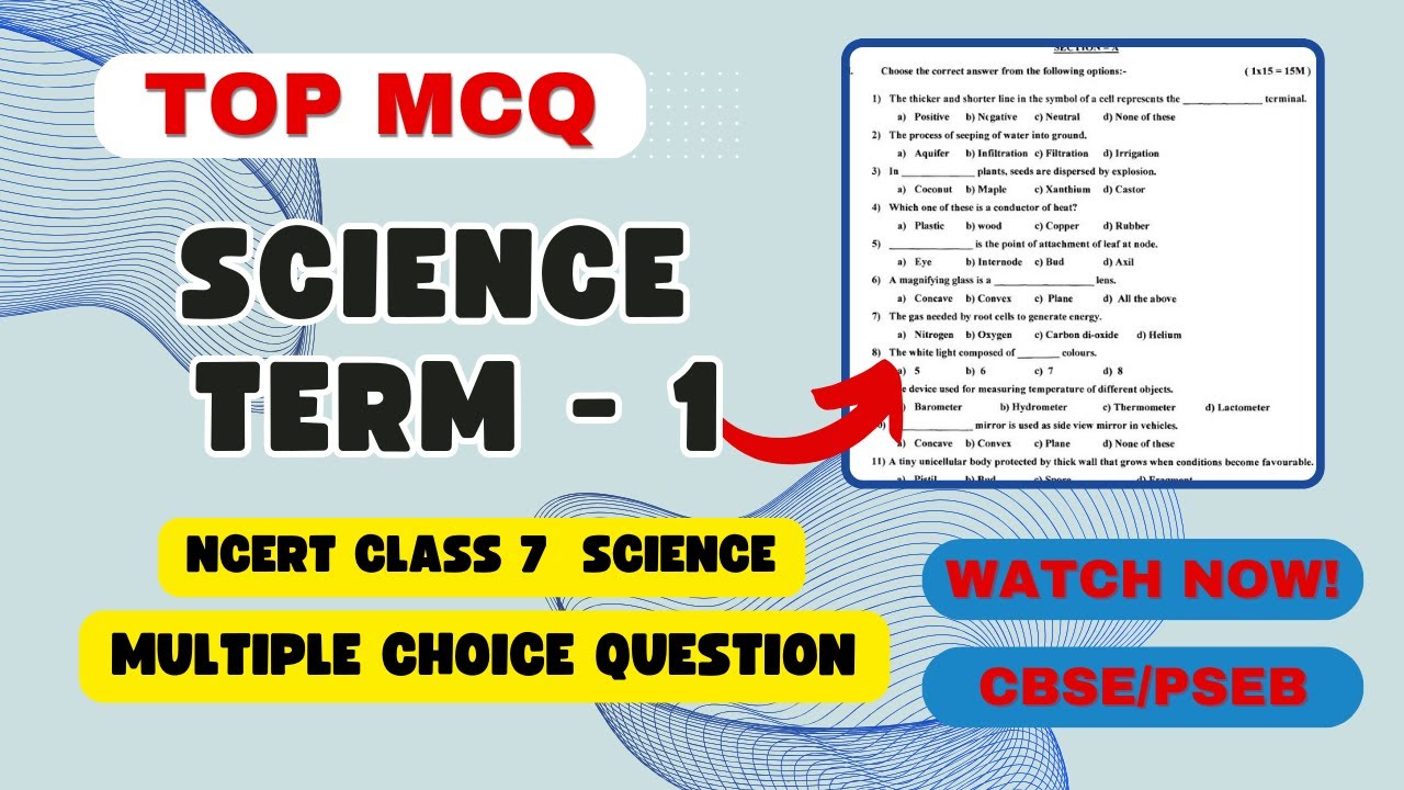 PSEB Class 7 Science Term 1 Sample Question Paper | Term 1 Science MCQ - YouTube
