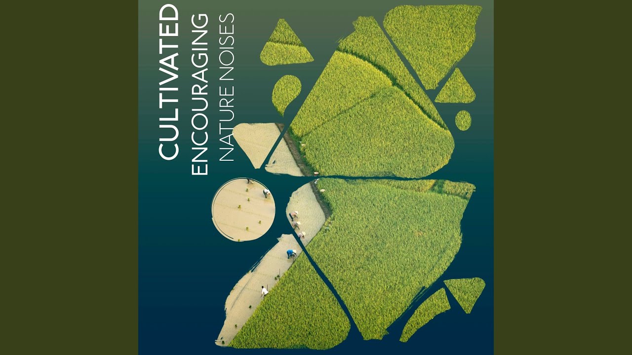 Magical Eclipse - YouTube Music