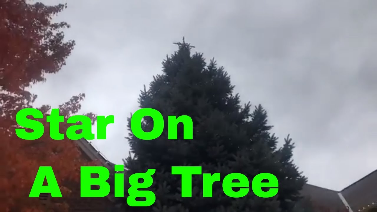 How To Put A Star In A 32' Evergreen Tree - YouTube