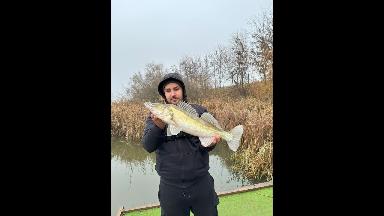 Ferma de Crap de la Diosig sau mai bine zis Ferma de Șalăi! - YouTube