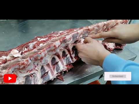 cow tail”how to butchering a cow - YouTube