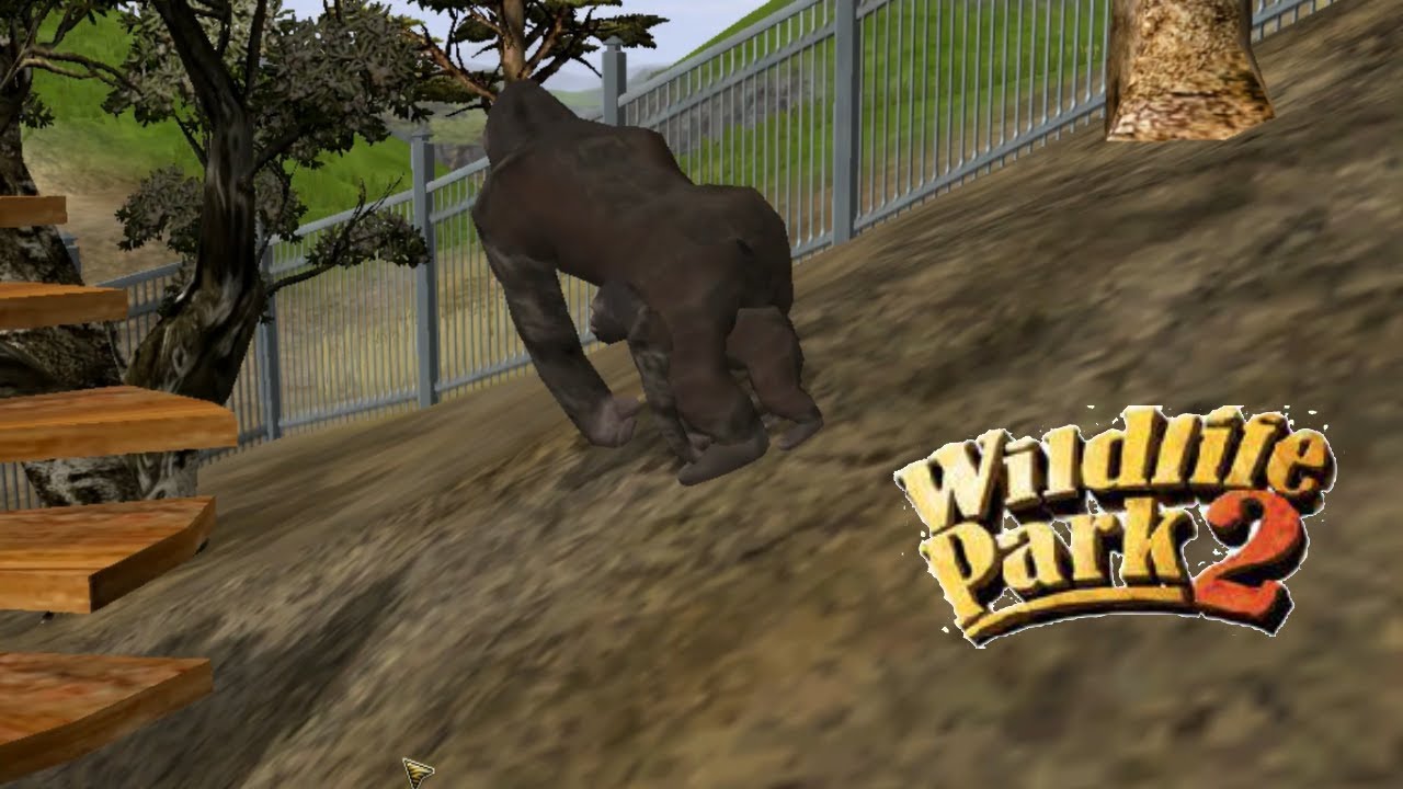 Mountain Gorilla Breeding Wildlife Park 2 HD - YouTube