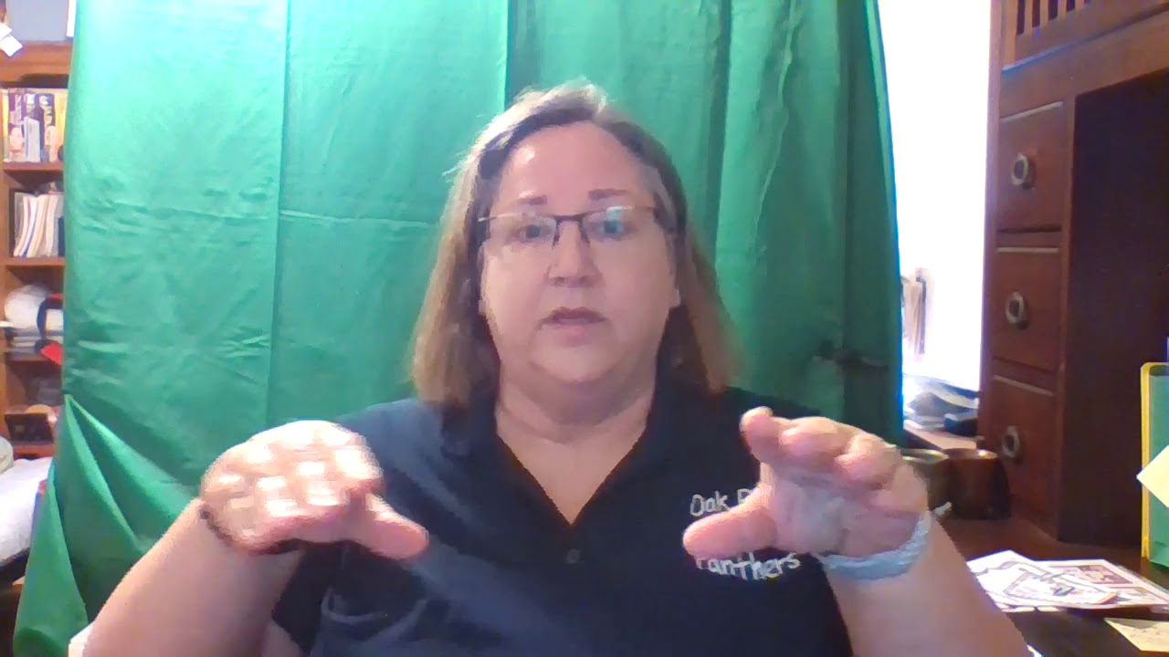 Roar Sign Language