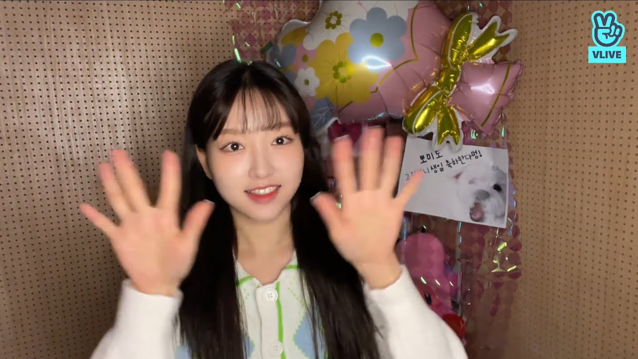 [이달의소녀 브이앱] 221119고원이 생일파티에 초대합니다 - YouTube
