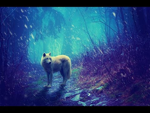 Photoshop Manipulation Tutorial - Wolf - YouTube