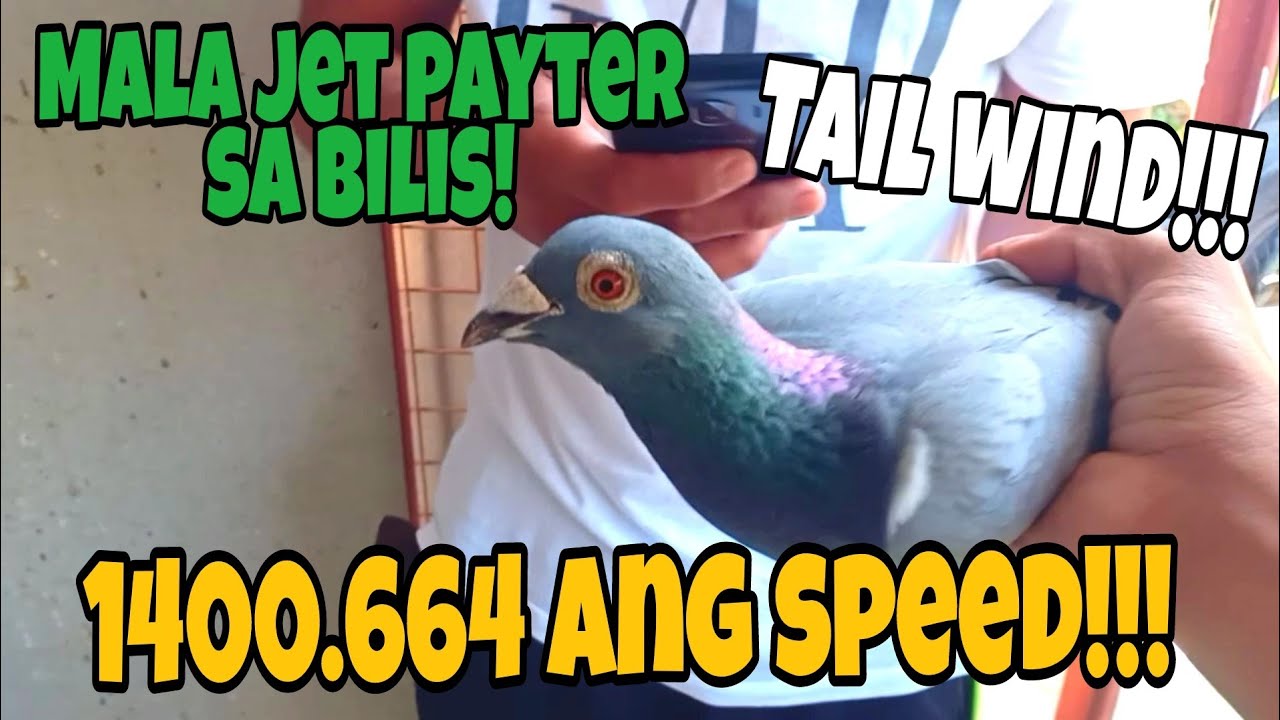 ANG BILIS NI DALISAY MALA JET PAYTER SA LIPARAN | TAIL WIND!!! - YouTube