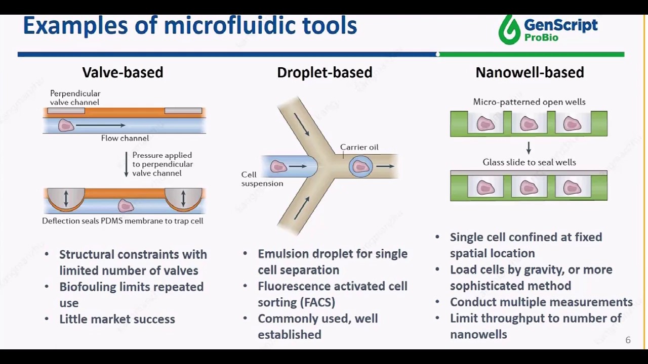 Single B Cell Screening: A Fully Automated and High-Speed Platform for ...