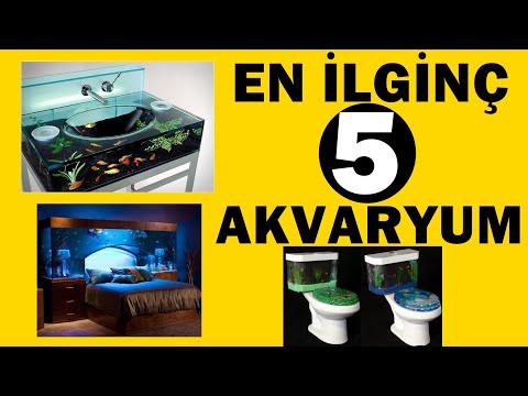 EN İLGİNÇ 5 AKVARYUM !