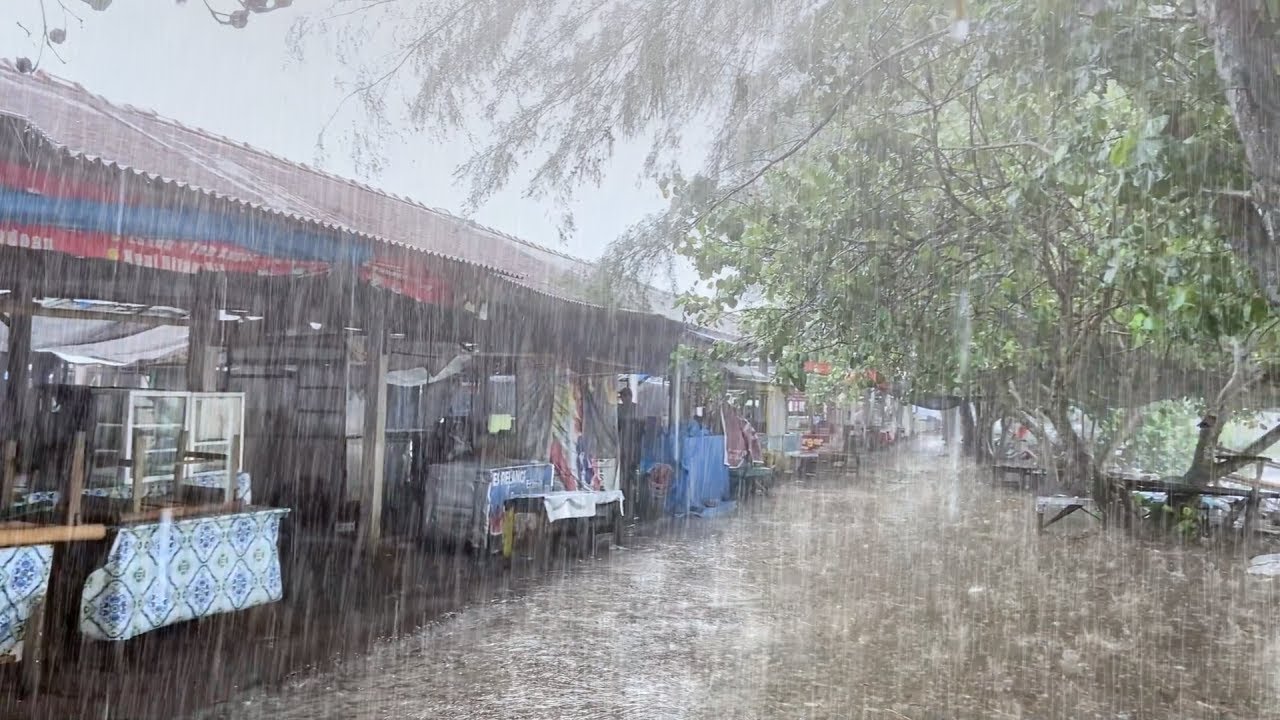 Coastal Life in Indonesia During Heavy Rain & Thunderstorms | Relaxing ...