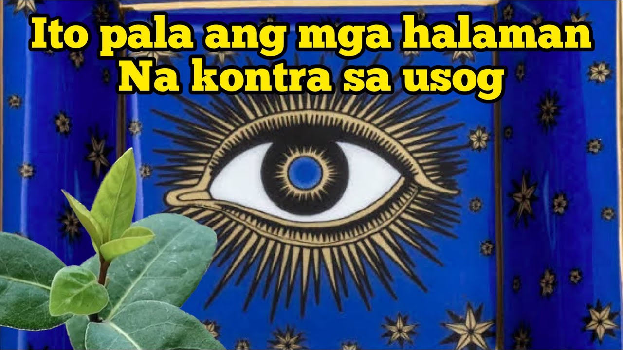 ITO PALA ANG MGA HALAMAN NA KONTRA SA EVIL EYE O USOG - YouTube