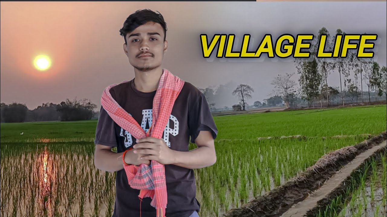 Rice cultivation | rice cultivation in assam | village life | hindi ...
