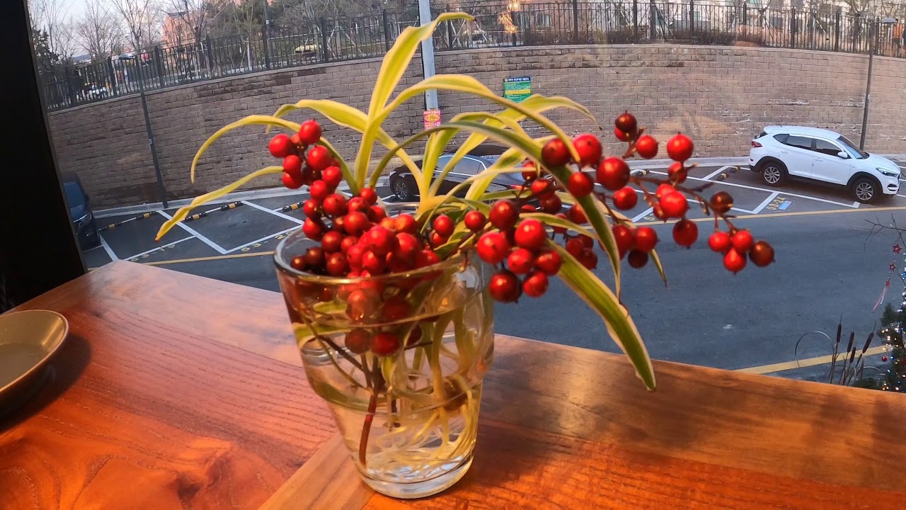 Artist Way Cafe - YouTube