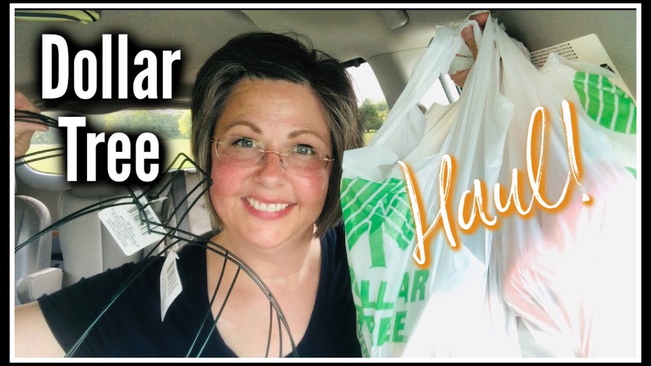 Dollar Tree Haul | NEW FALL FINDS | August 2020 | Country Girl - YouTube