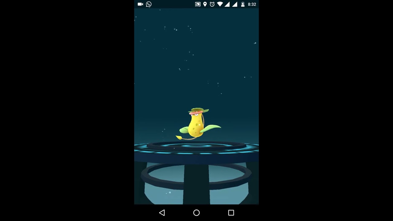Bellsprout evolution Pokemon Go - YouTube