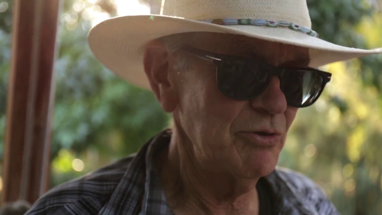 James Hayward - YouTube