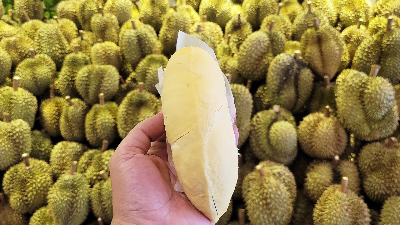 Crazy speed!!! Amazing durian cutting skills master!!! A famous durian ...