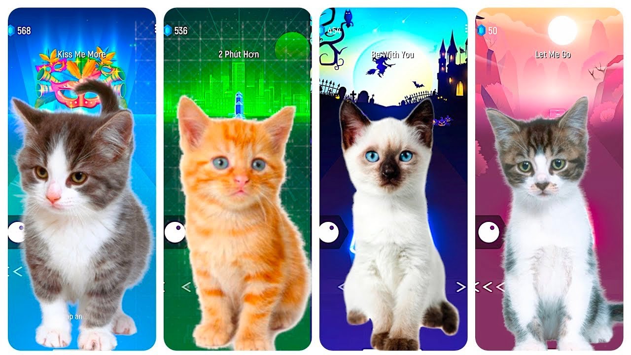 YOO TOP! Cute Kitty Vs Furry Kitty Vs Crazy Kitty Vs Sweet Kitty In ...