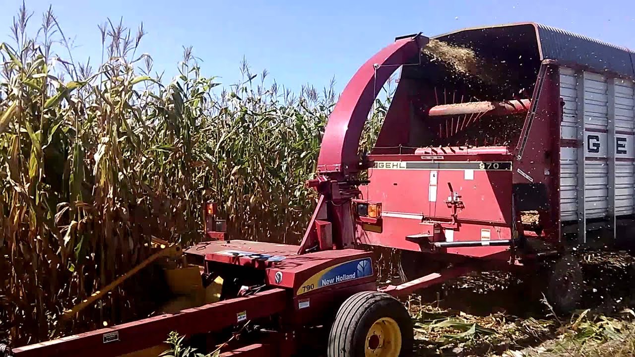 Case international 7110 and new Holland 790 - YouTube