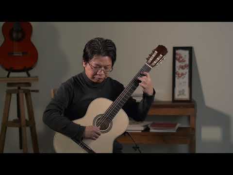 Grisse his delight - Thomas Robinson played by Stephen Chau on Wolfgang Teller (2018) guitar