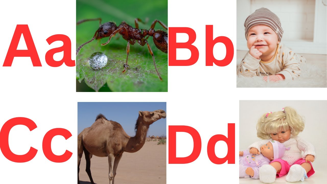 Learn the ABCs: A is for Ant | Learn Alphabet A to Z | English alphabet ...