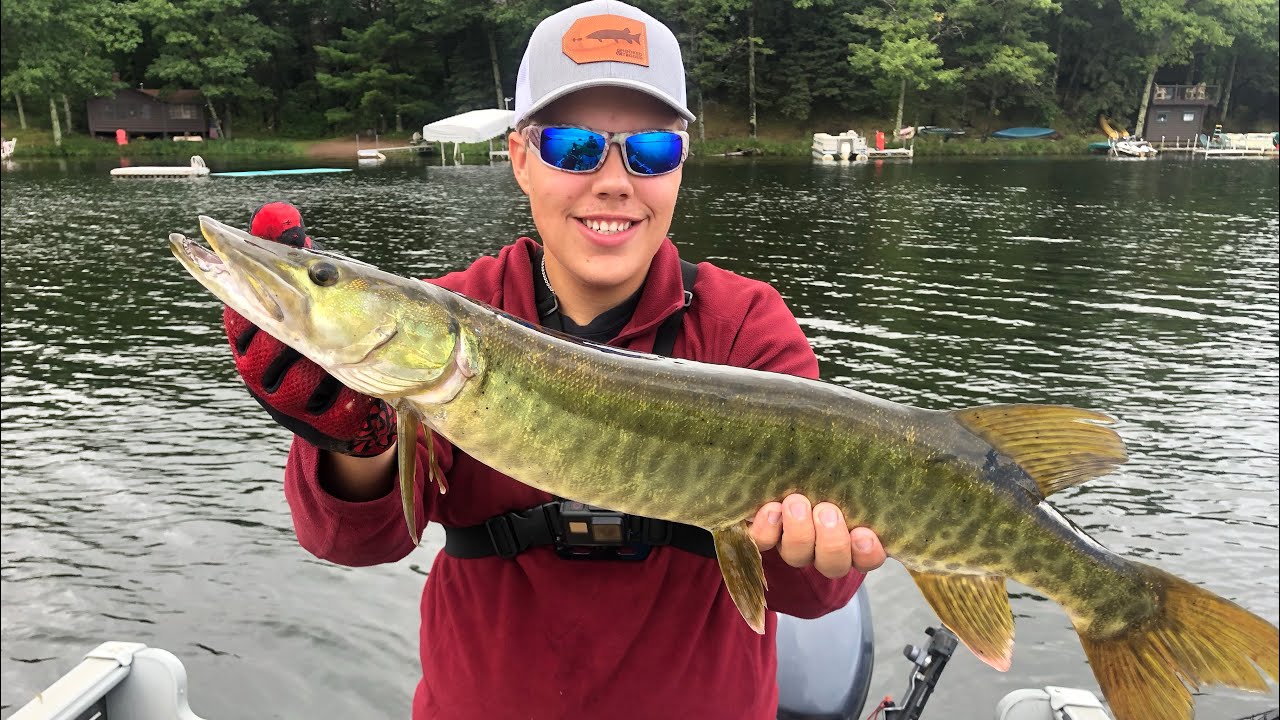 Musky action on phantom lures softail! - YouTube