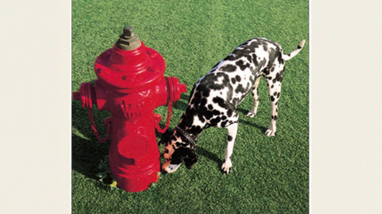 Subdivisions (FULL BAND COVER - Originally by Rush) - YouTube