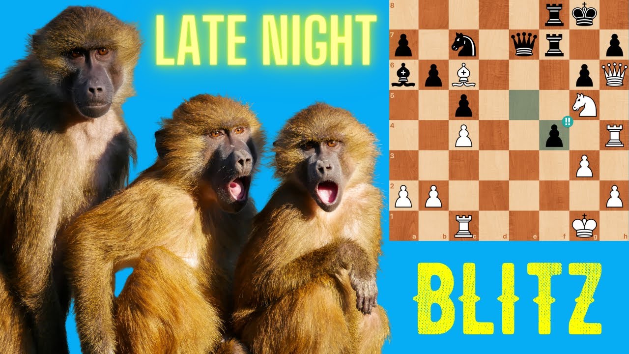 Late kNight Chess # 260 - YouTube