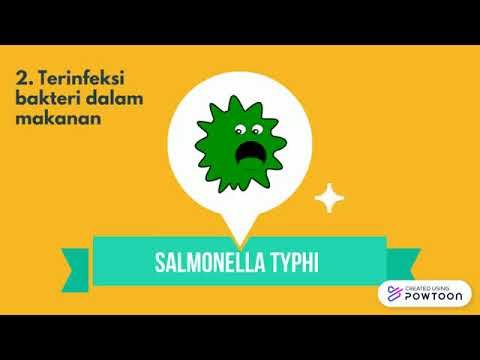 Bagaimana sih proses terjadinya Demam Typhoid (Tipes) ? - YouTube
