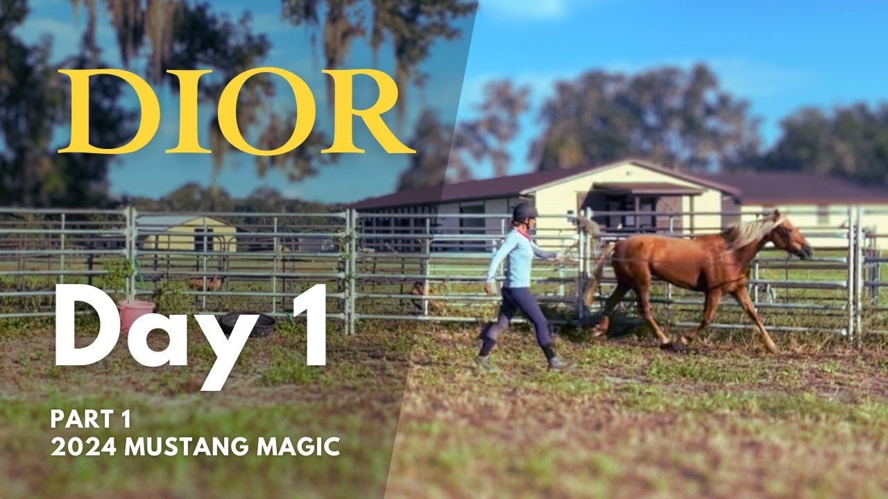 Dior Vlog Day 1 (Part 1): 2024 Mustang Magic Makeover - YouTube