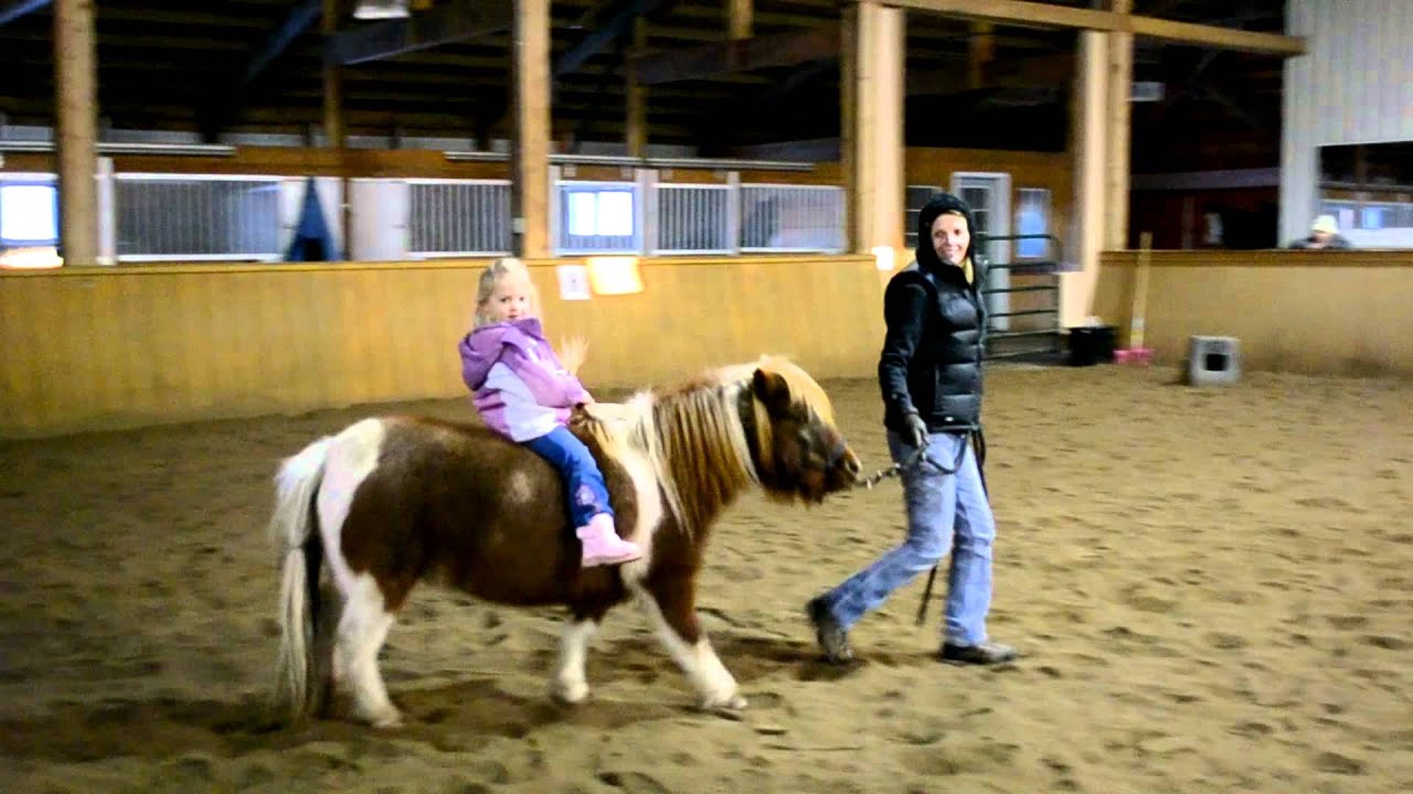 Riding a Pony - YouTube