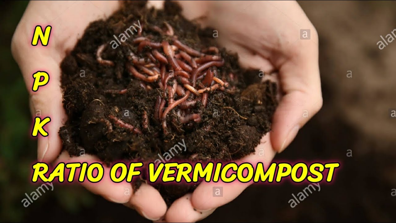 KNOW THE NPK RATIO OF VERMICOMPOST - YouTube