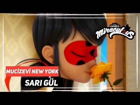 MUCİZE: MUCİZEVİ NEW YORK - SARI GÜL 😊🌹💛