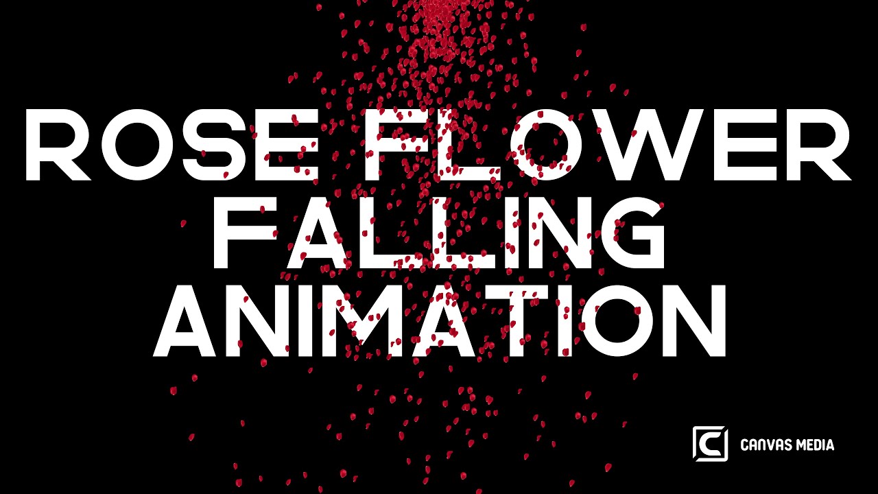 Rose Flower Falling Animation | FREE DOWNLOAD | 2D & 3D Animation - YouTube