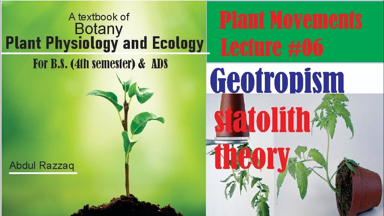 Plant Movements; Lecture #06 Statolith theory for B.S, M.Sc - YouTube