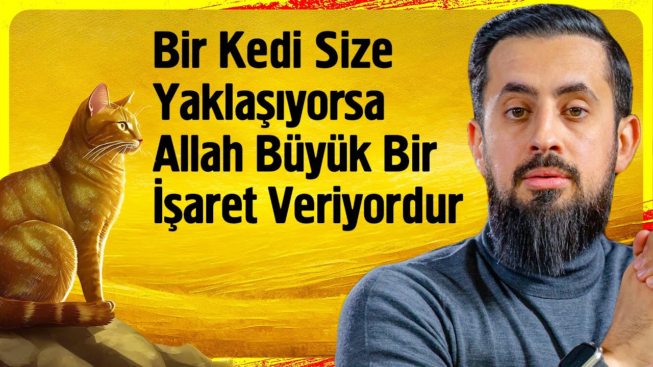 Bir Kedi Size Yaklaşıyorsa Allah Büyük Bir İşaret Veriyordur - Kelb ...