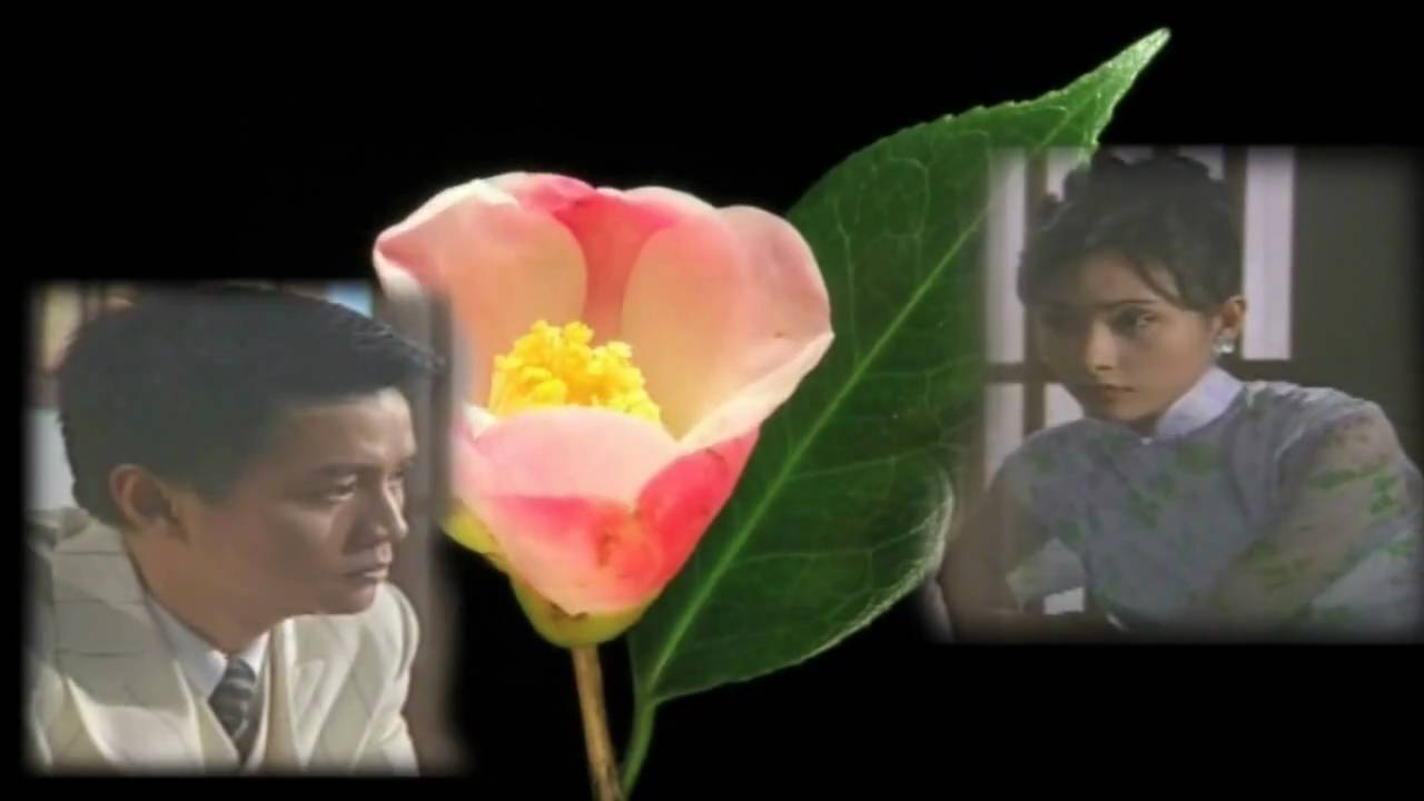 Vampire Expert (II) Theme - Eric Wan & Kristy Yang - YouTube