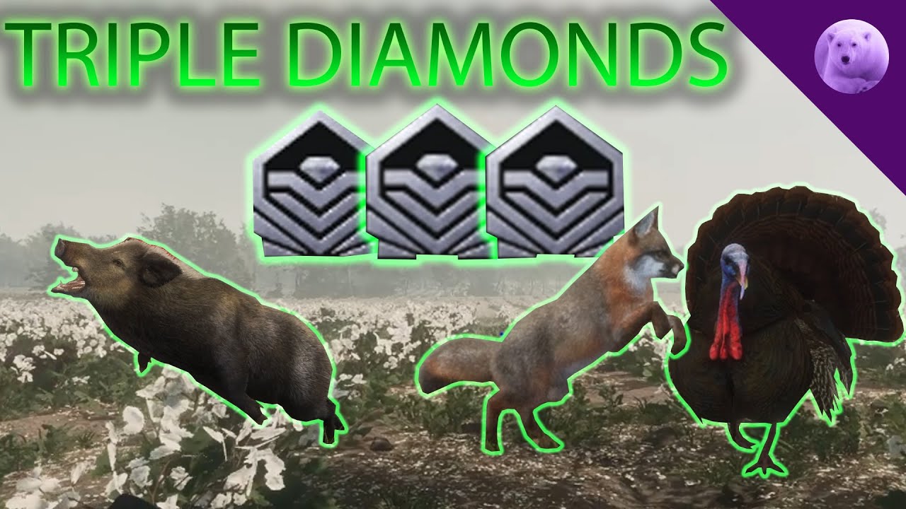 TRIPLE DIAMONDS on Mississippi Acres Preserve - YouTube