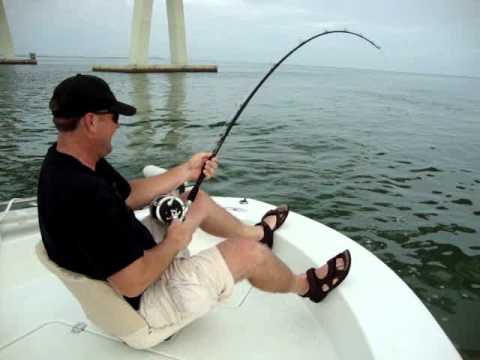 350 Pound Goliath Grouper caught on a custom Migizi Fishing Rod - YouTube