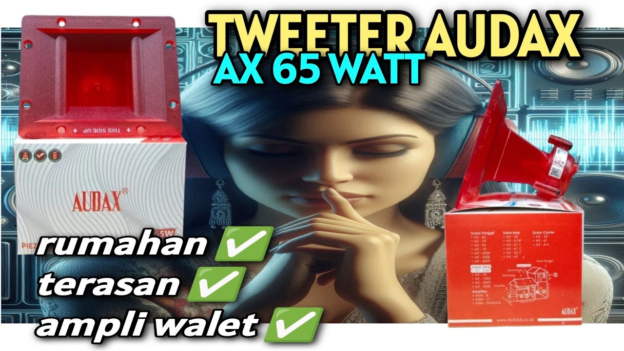 Speaker Tweeter Audax AX 65 WATT - YouTube